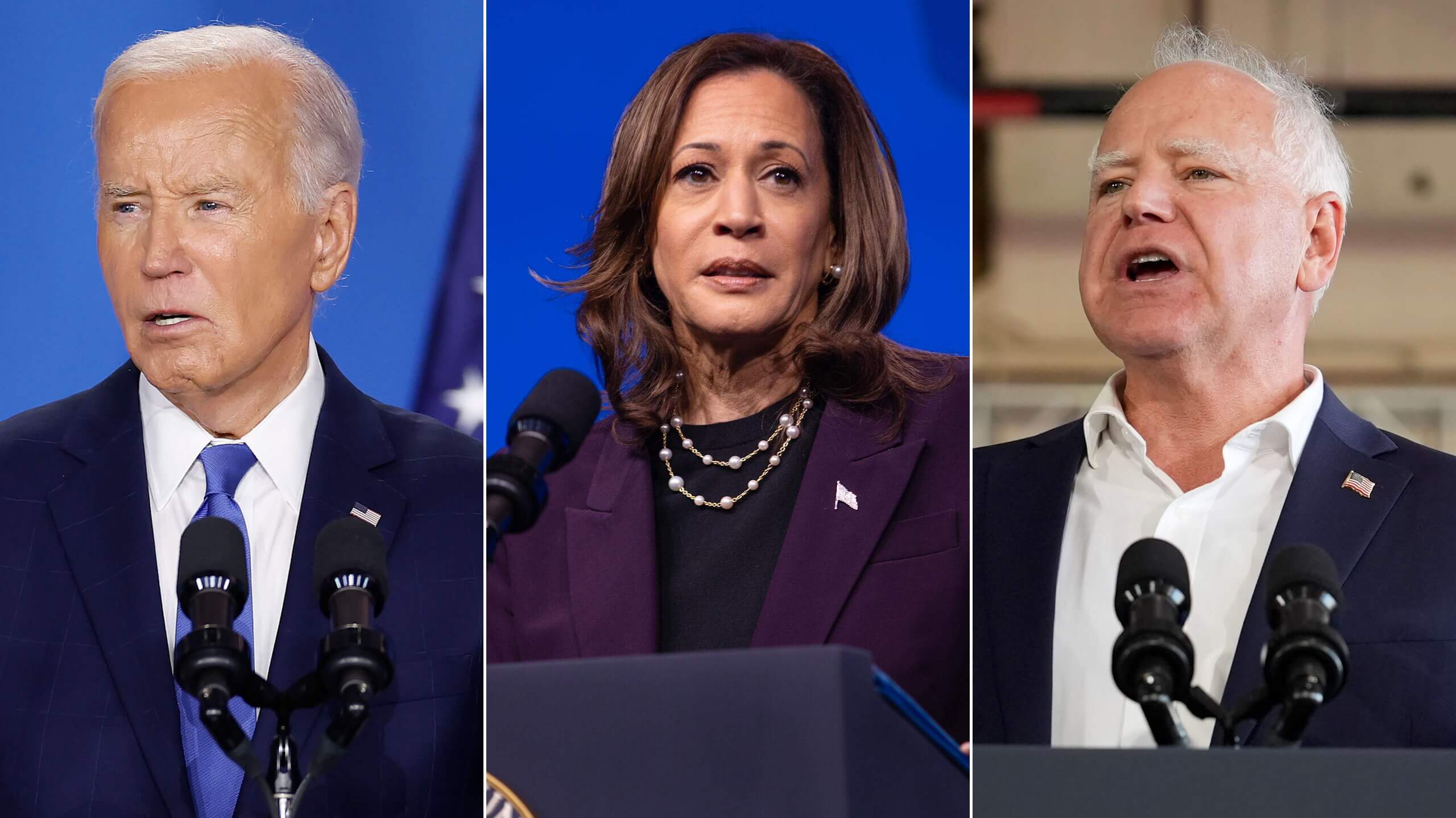 Top 10 Reasons Democrats Lost in 2024 - Conservative Direct
