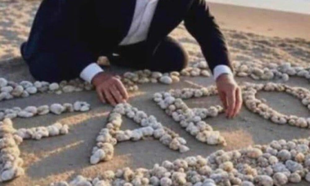 Elon Musks Mocks James Comey With The Perfect Meme - Conservative Direct